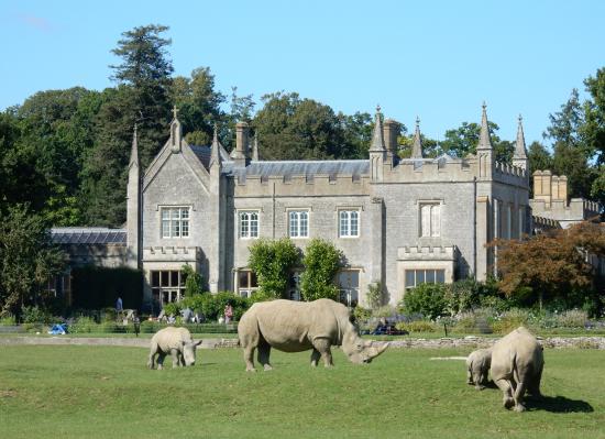 Things to do in Witney - The Fleece